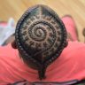 15 Twistest Swirl Cornrow Hairstyles! | HairAide